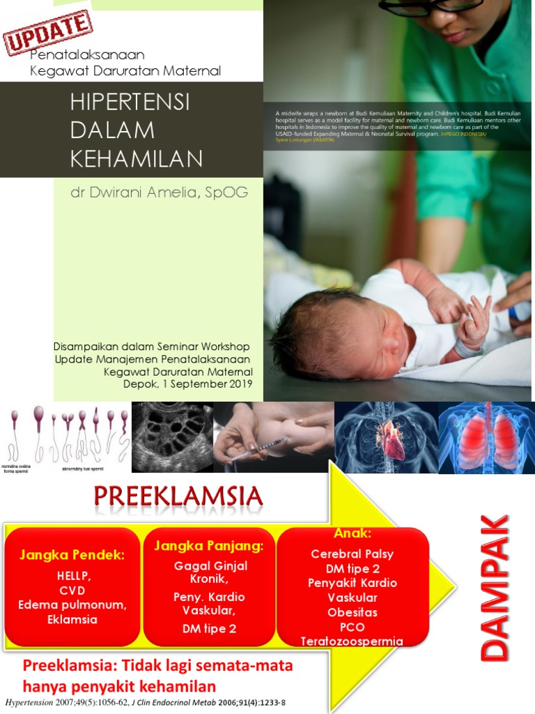 Update Manajemen Penatalaksanaan - Hipertensi Dalam Kehamilan 1 PDF | PDF