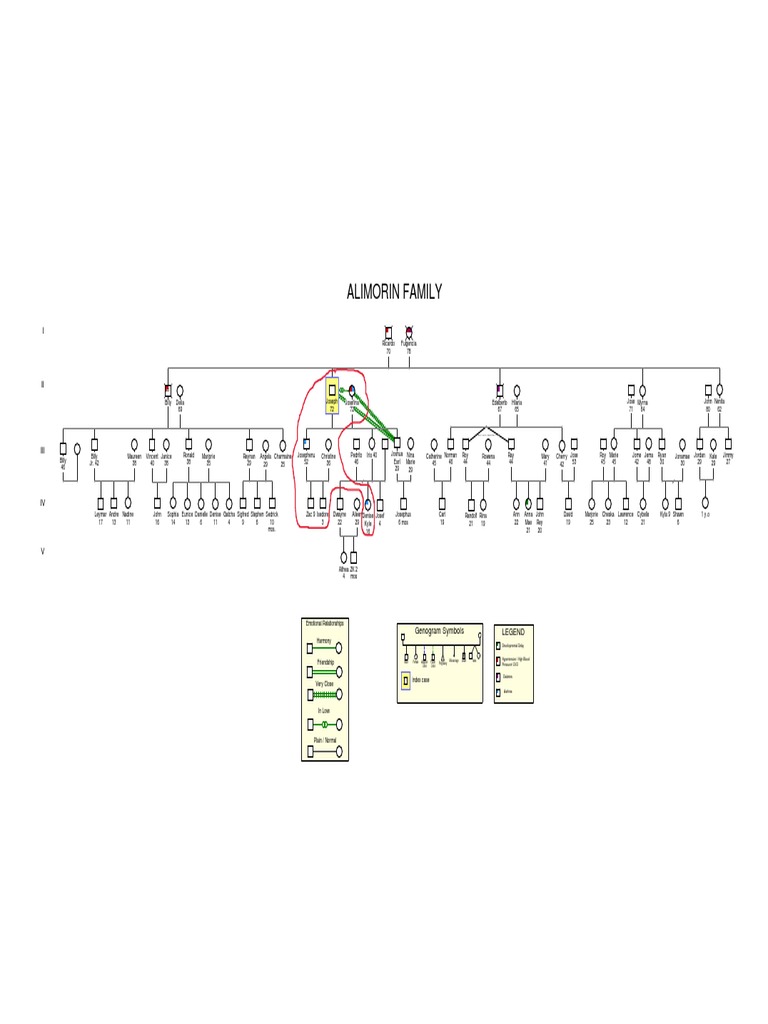Genogram Case 2 | PDF | Rtt | Medical Specialties