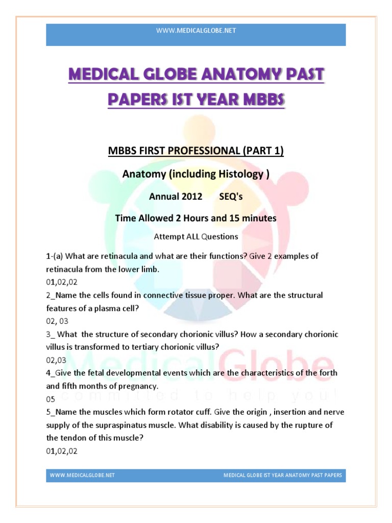 1st Year Anatomy Past | PDF | Anatomy | Foot