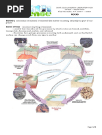 Simbol Batuan | PDF | Shale | Rock (Geology)