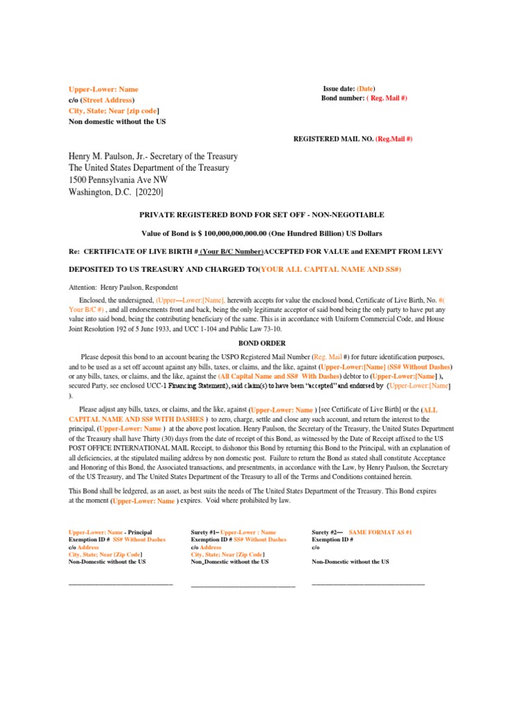 1 BC Registered Bond - Word97 | PDF | Henry Paulson | United States ...