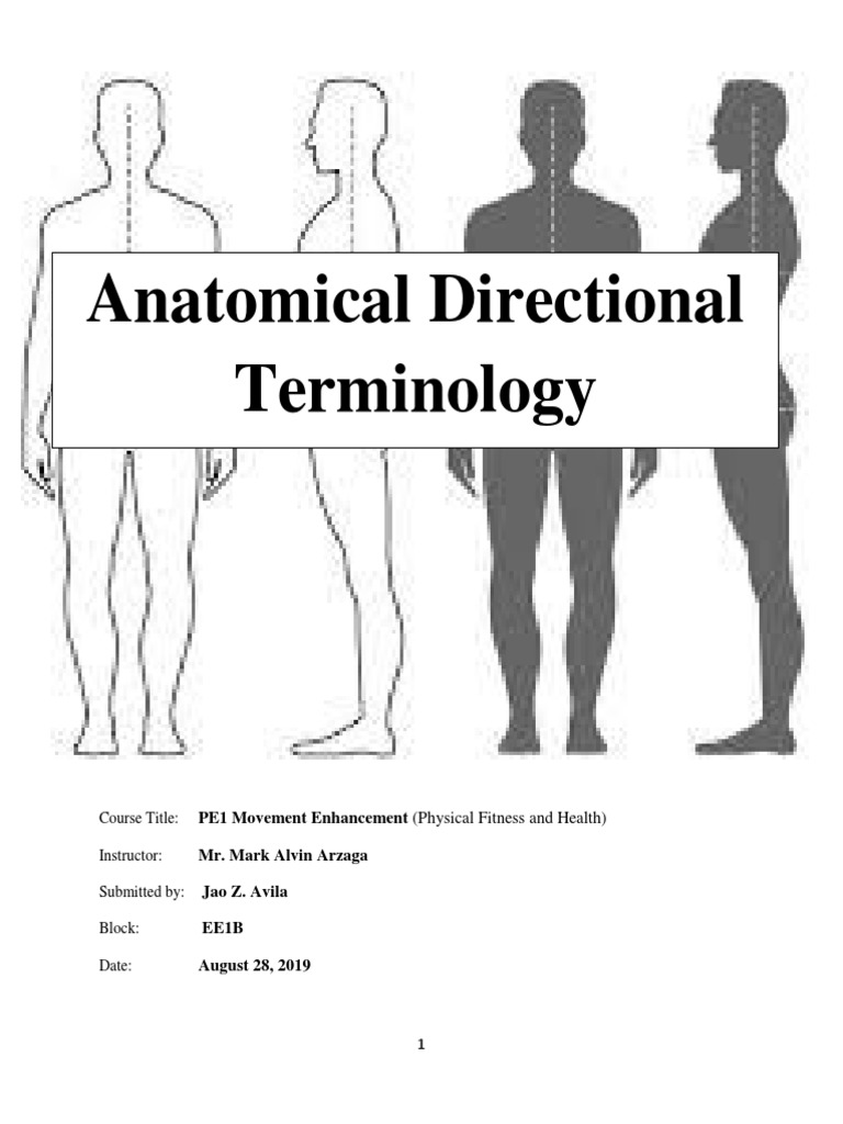 Anatomical Directional Terminology | PDF | Anatomical Terms Of Location ...