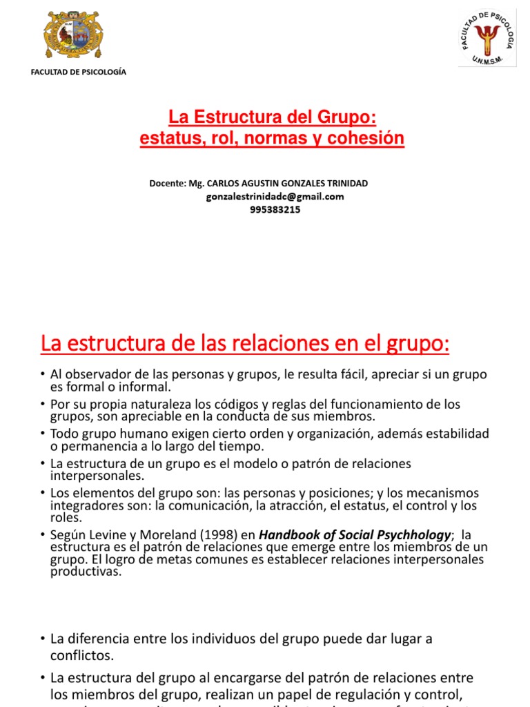 Estructura y Roles en Grupos Sociales | PDF | Estatus social ...