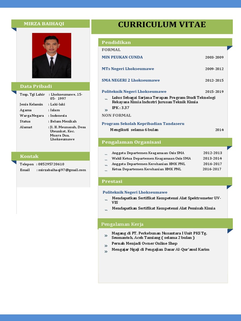 CV Mirza Baihaqi PDF | PDF