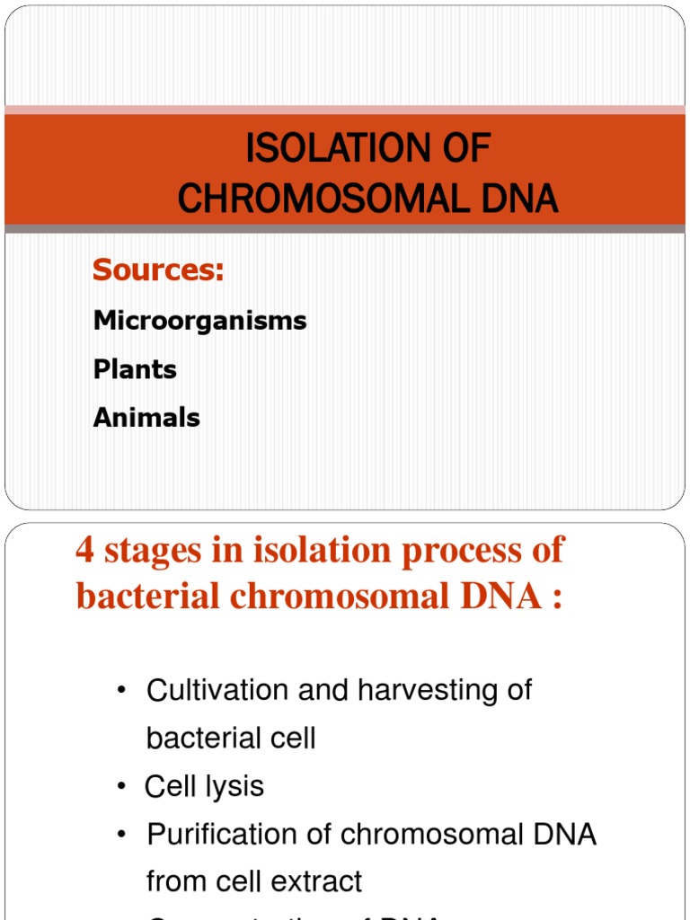 Chromosomal DNA Isolation Process | PDF | Cooking, Food & Wine | Wellness