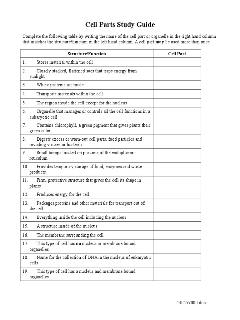 Cell Parts Study Guide | PDF | Eukaryotes | Cell (Biology)