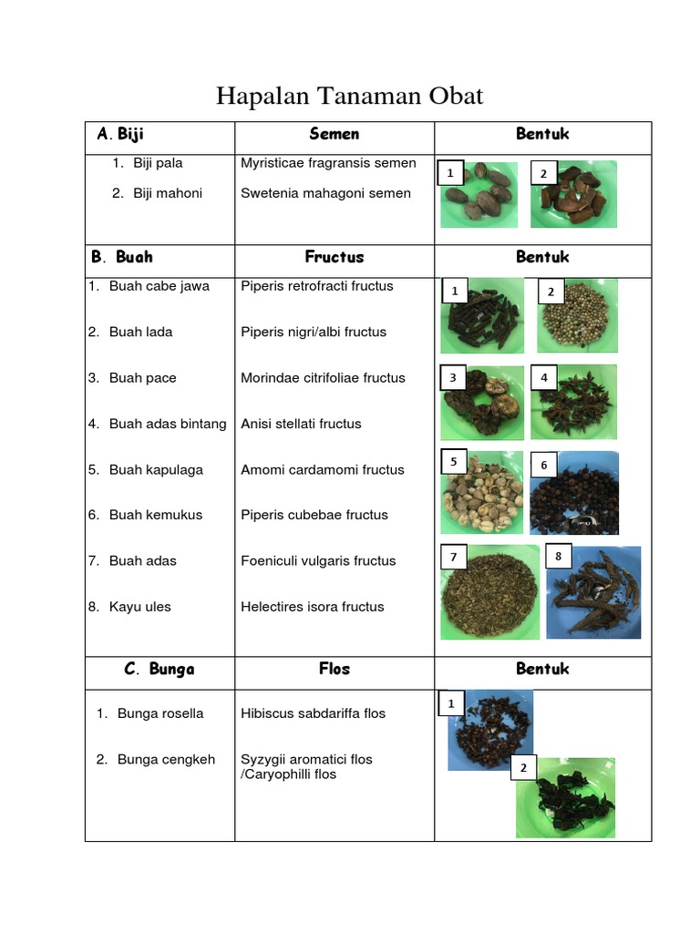 Hapalan Tanaman Obat: A Comprehensive Guide to the Botanical Names ...