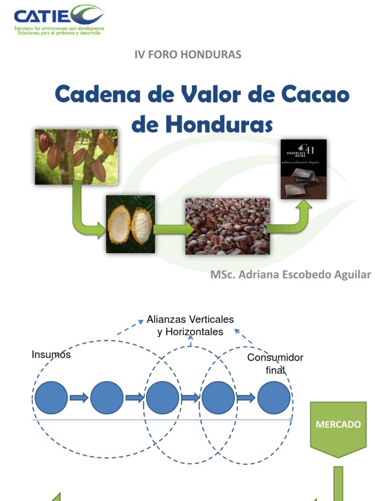 Caracterización De La Cadena De Valor De Cacao Honduras Pdf
