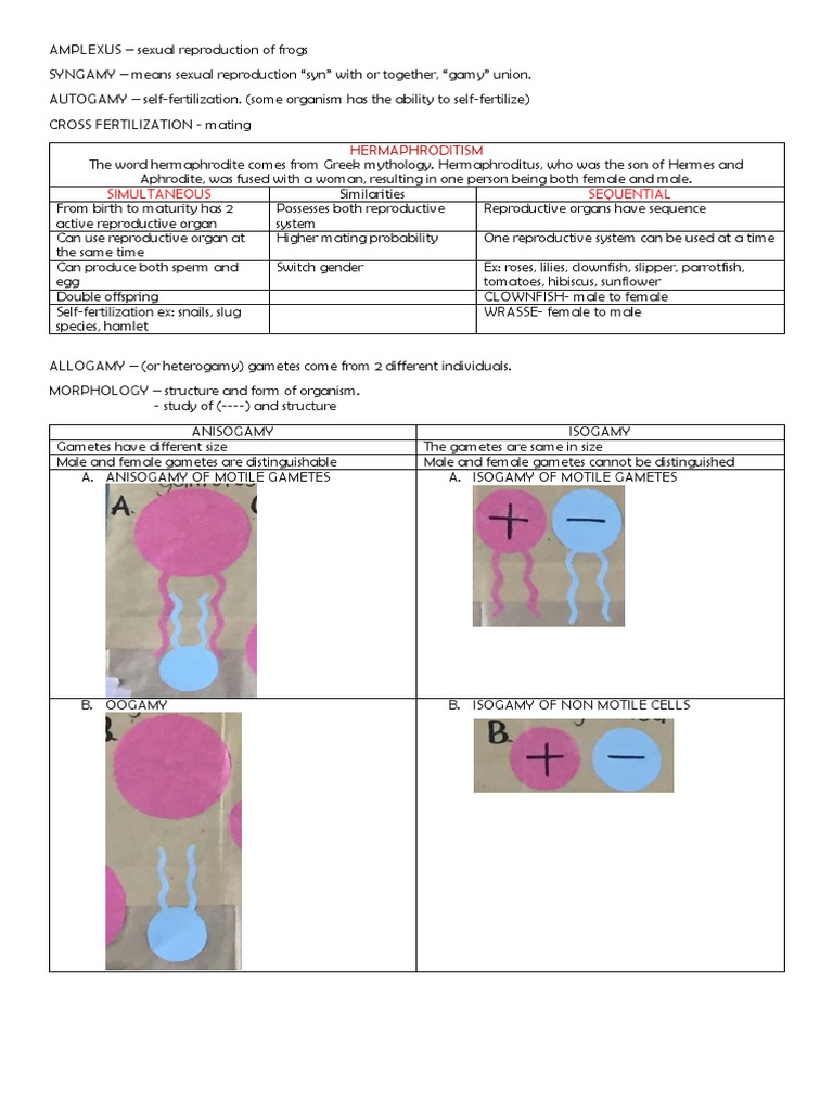 General Biology 2 Notes | PDF | Kidney | Luteinizing Hormone