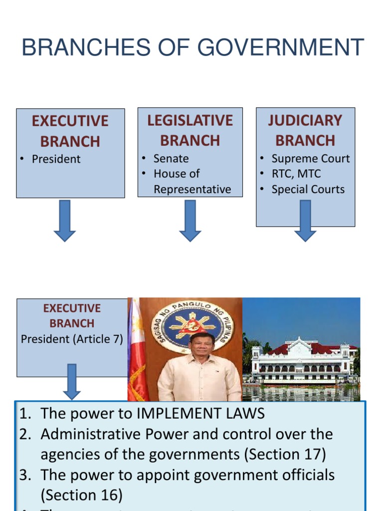 Overview of Government Branches | PDF