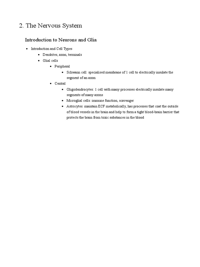 Introduction To Neurons and Glia | PDF