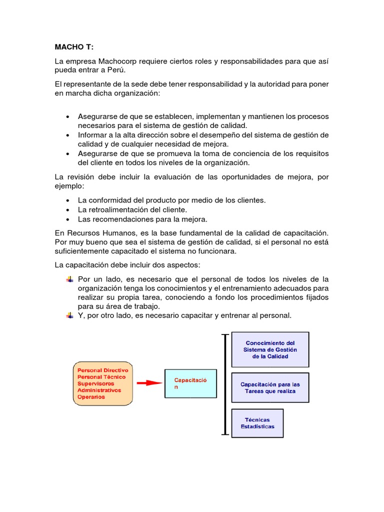 Macho T | PDF | Calidad (comercial) | Business