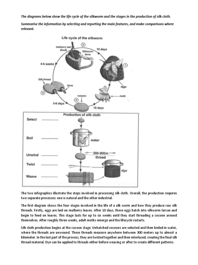 Ielts Task 1 Diagrams Stages in The Production of Silk Cloth | PDF