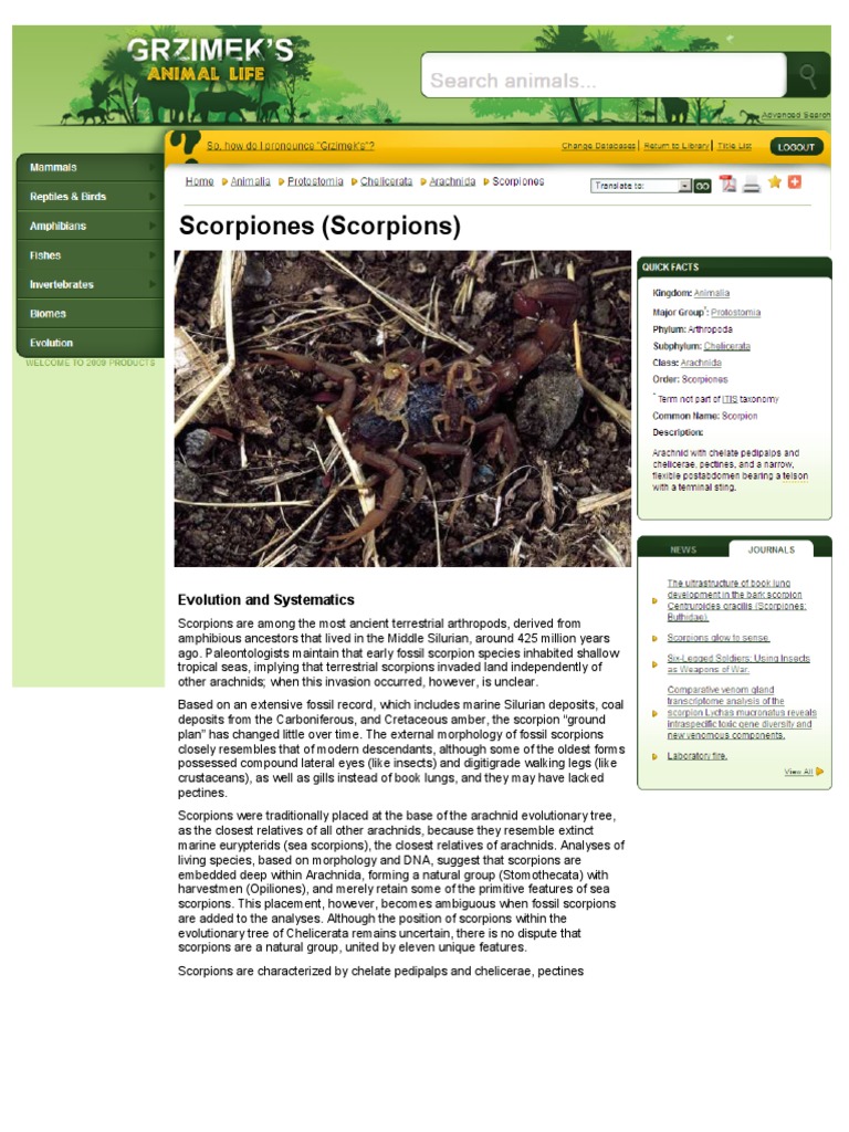 Scorpiones (Scorpions) : Evolution and Systematics | PDF | Predation ...