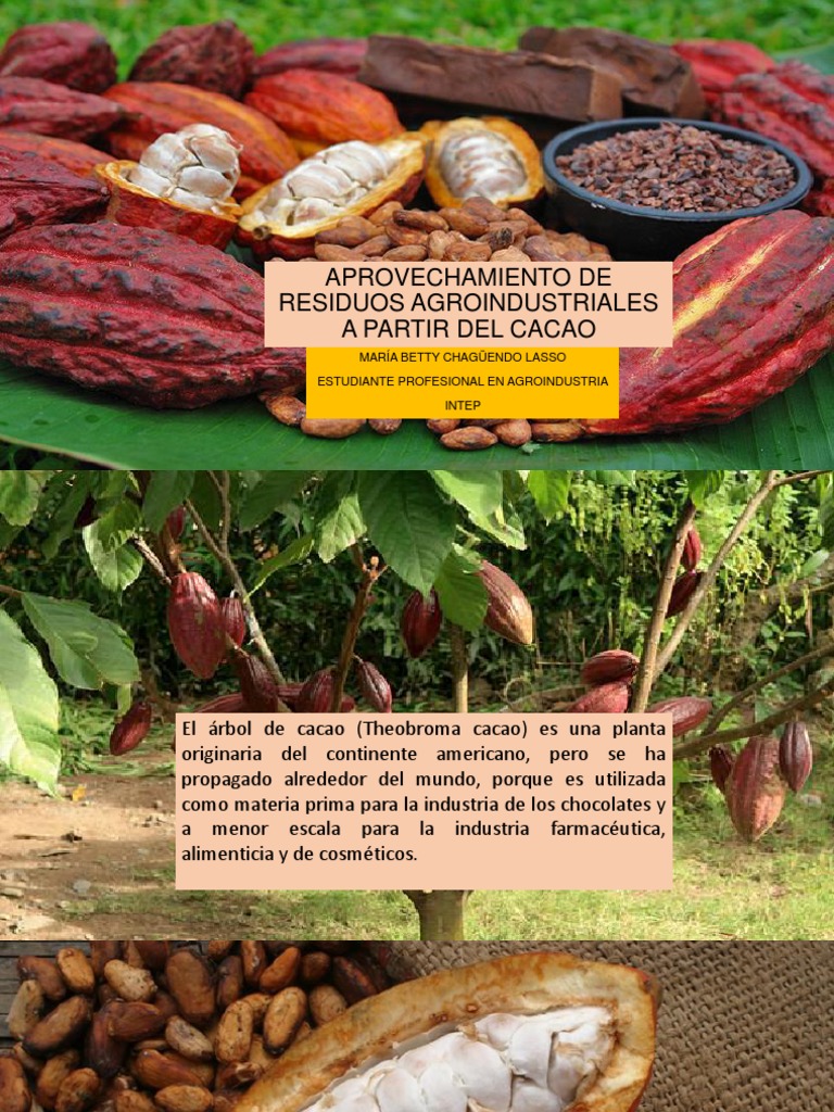 Aprovechamiento de Residuos Agroindustriales | PDF | Chocolate | Alimentos