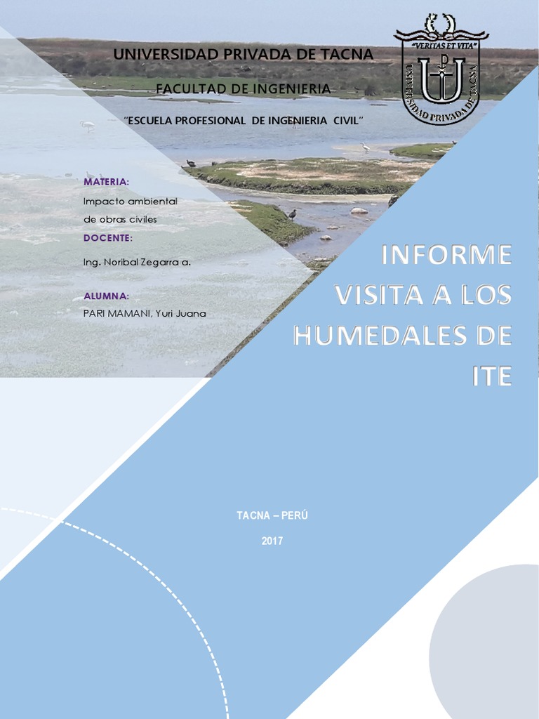 Informe de Humedales de Ite | PDF | Humedal | Minería