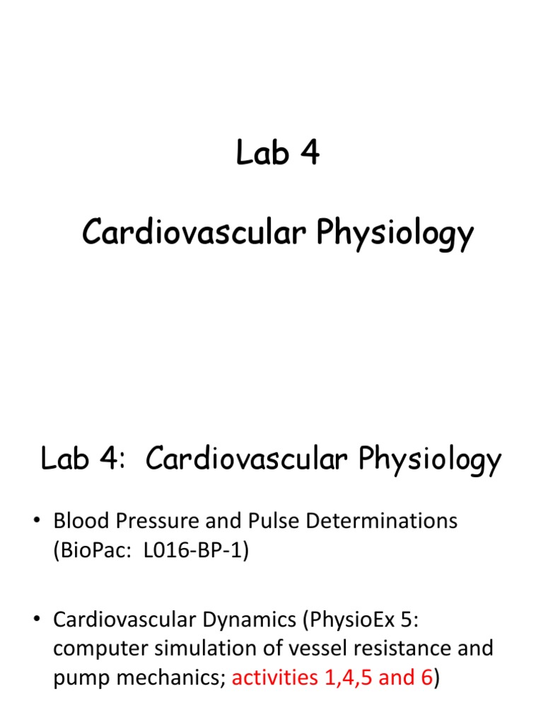 Lab 04-Cardiovascular Physiology | PDF | Blood Pressure | Pulse