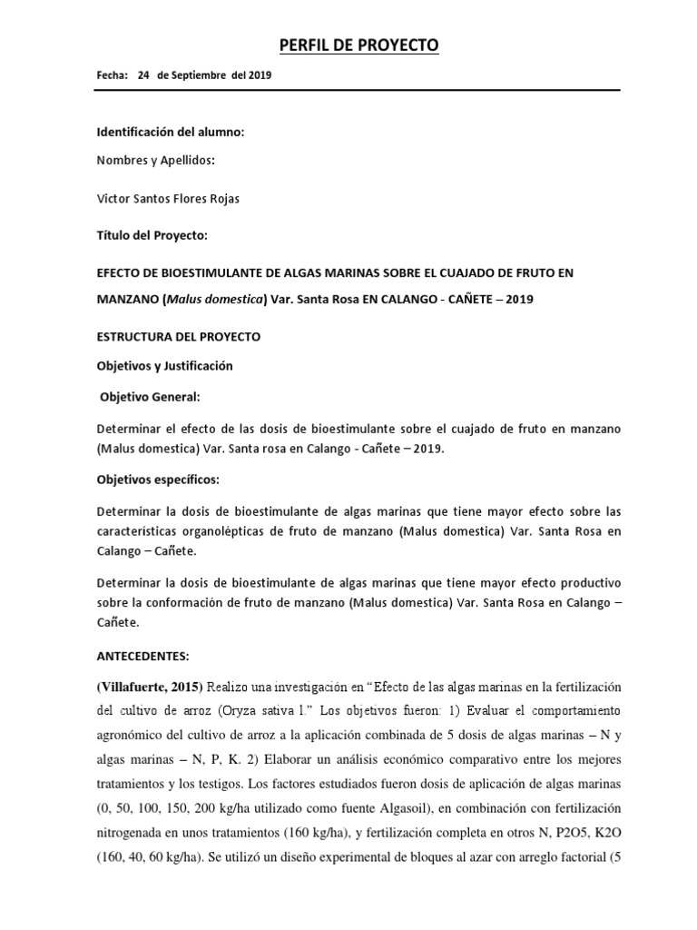 Formato Perfil de Proyecto | PDF | Riego | Agua