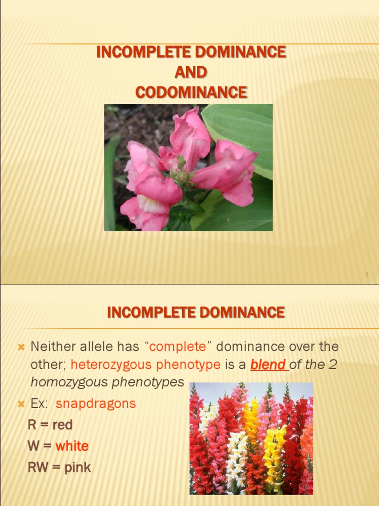Codominance Vs Incomplete Dominance