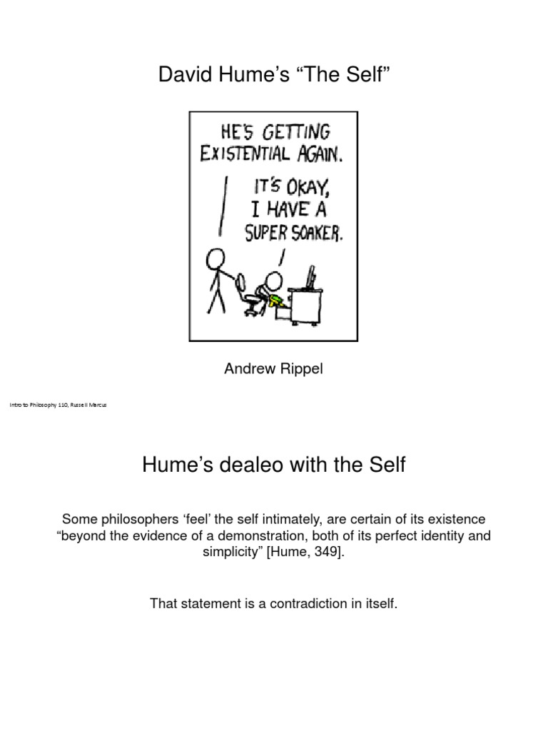 David Hume's "The Self": Andrew Rippel | PDF
