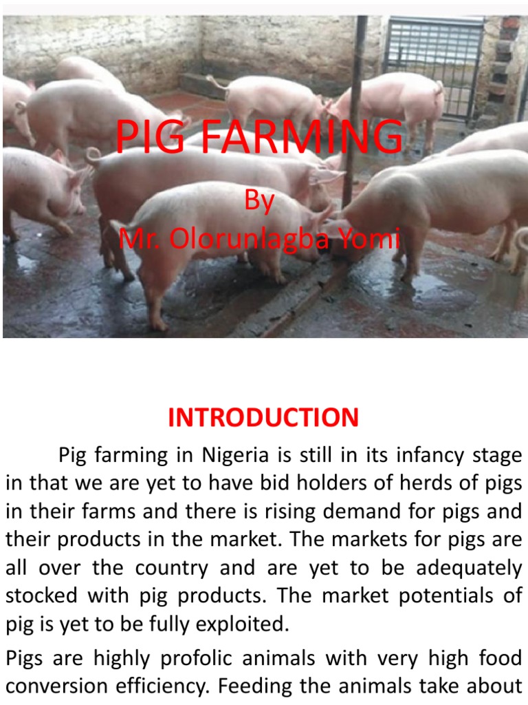 Pig Farming: by Mr. Olorunlagba Yomi | PDF | Domestic Pig | Animals And ...