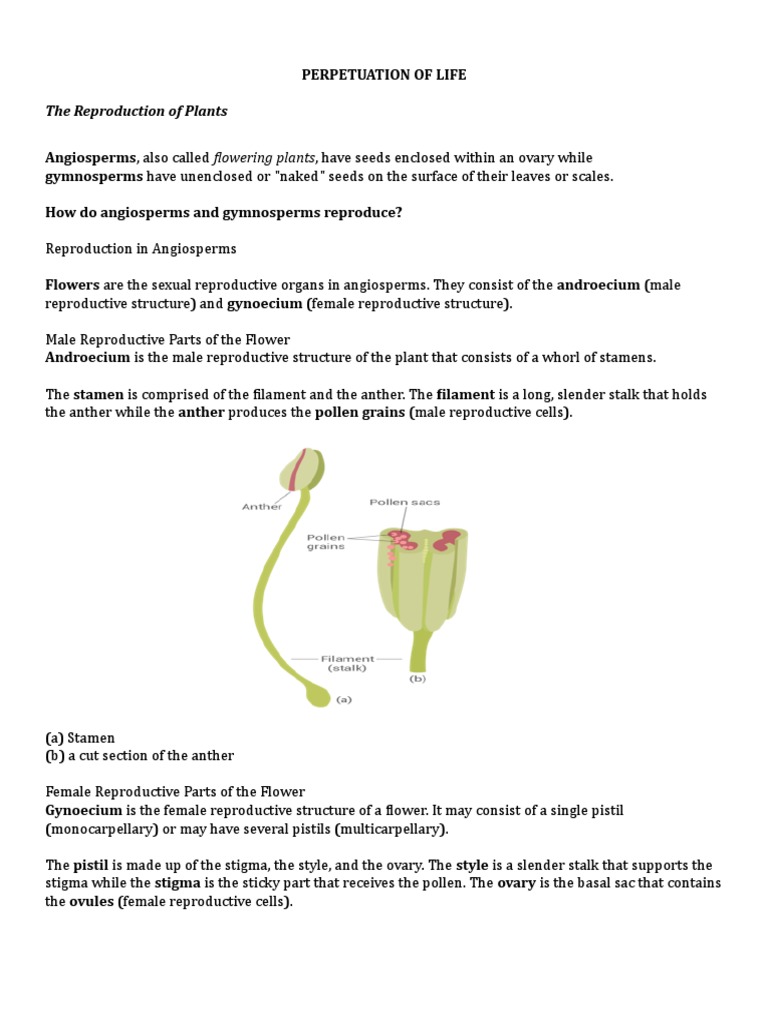 The Perpetuation of Life | PDF | Fertilisation | Dna