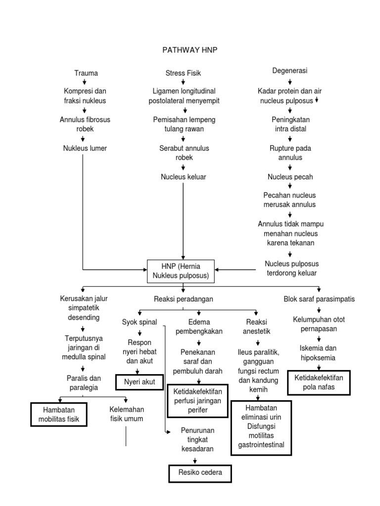 PENGERTIAN DAN PENYEBAB UTAMA HERNIA NUKLEUS PULPOSUS (HNP) | PDF