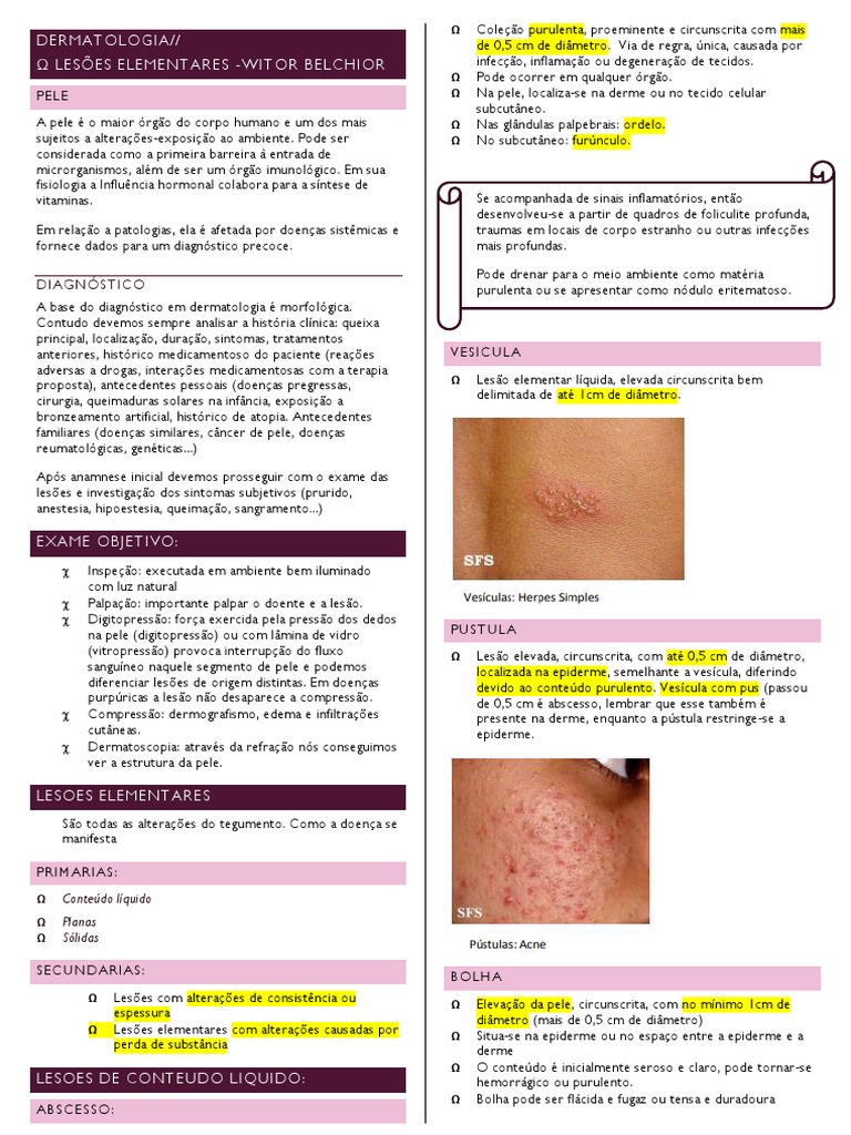 Descrição de lesões elementares da pele | PDF | Pele | Inflamação