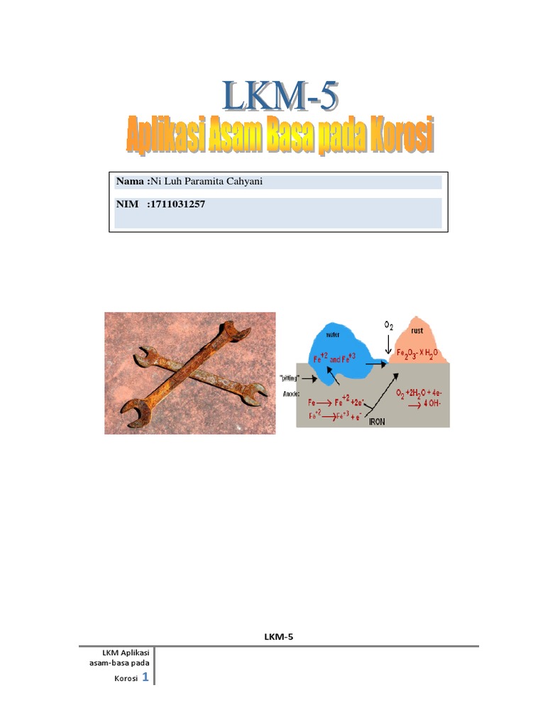 LKM 5 Mahasiswa Aplikasi Asam Basa Pada Korosi | PDF