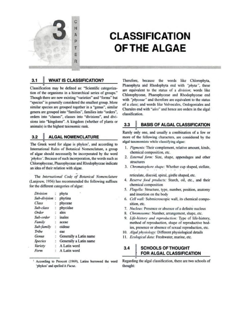 Algal Classification | PDF