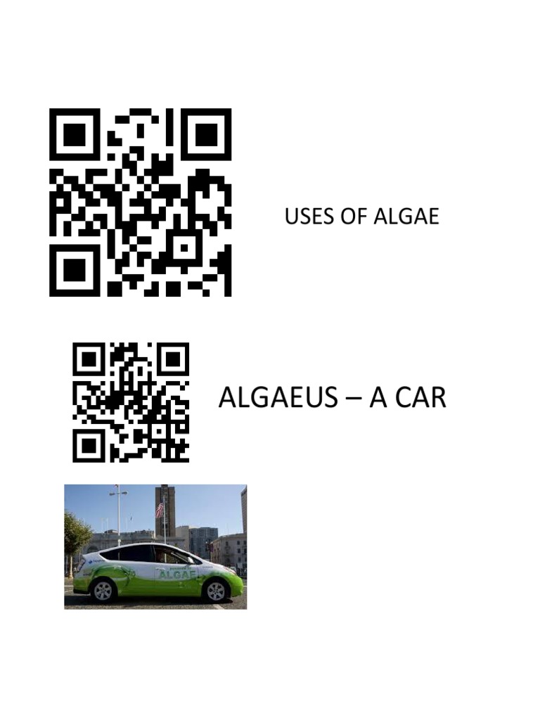 Algaeus - A Car: Uses of Algae | PDF