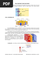 Cell Transport Concept-Map | PDF | Membrane Biology | Life Sciences