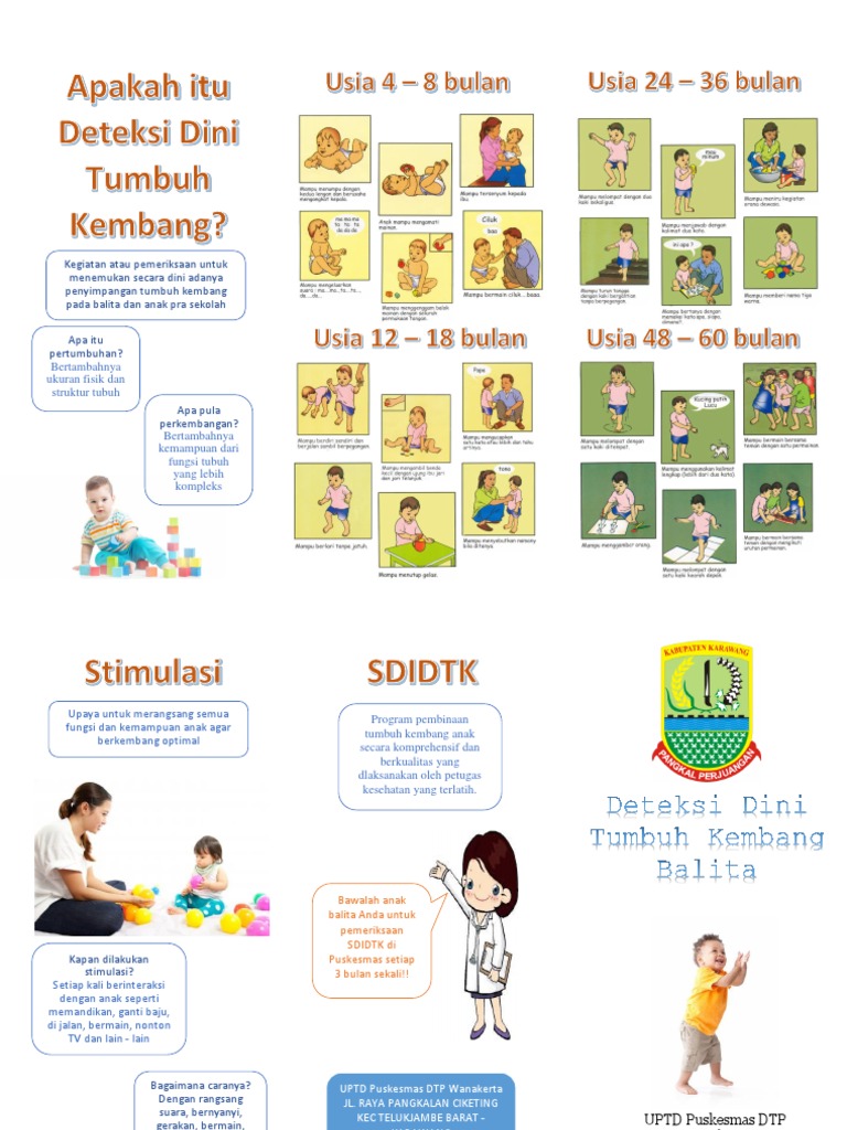 Leaflet Sdidtk | PDF