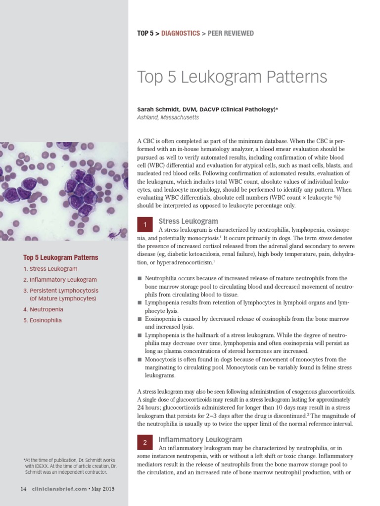 Top 5 Leukogram Patterns 22976 Article PDF | PDF | White Blood Cell | Lymphocyte