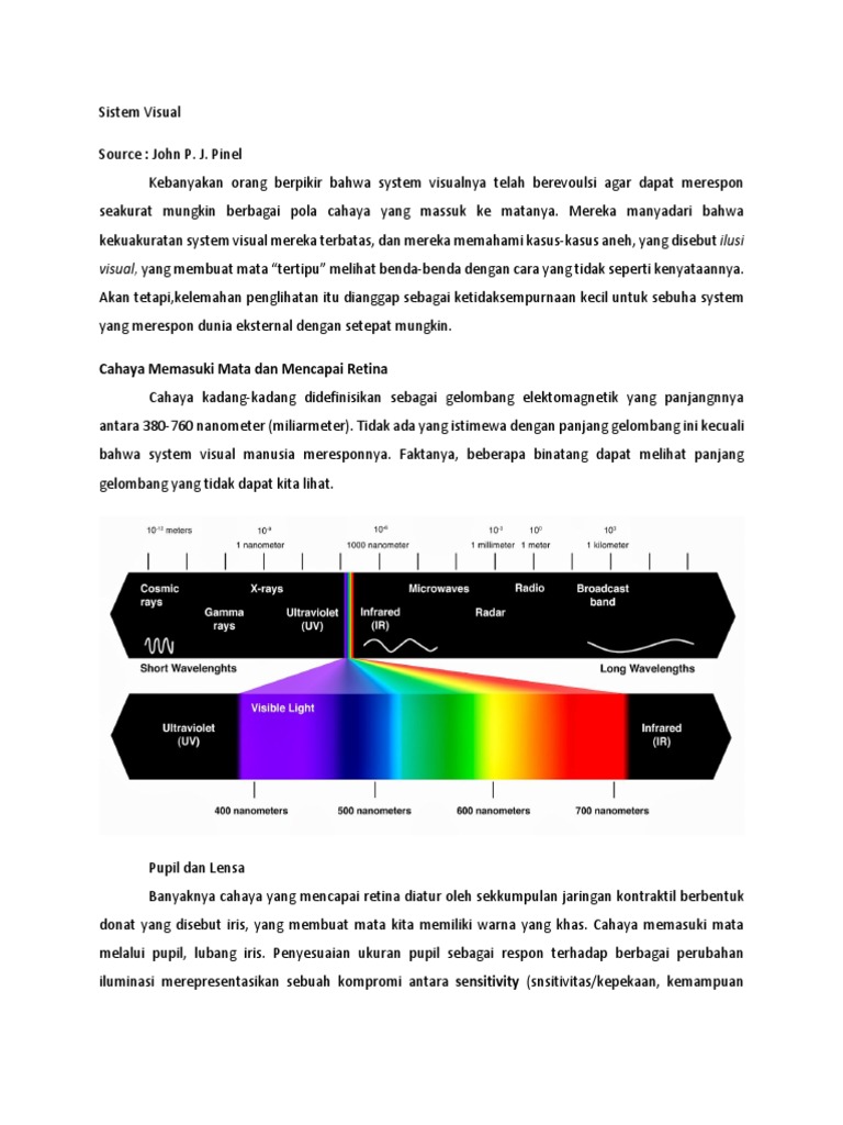 Sistem Visual Manusia | PDF