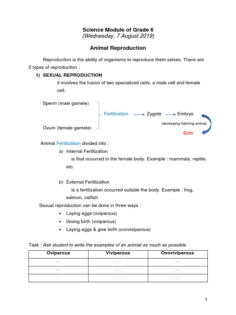 Science Modul of Grade 6 - Animal Reproduction | Download Free PDF ...