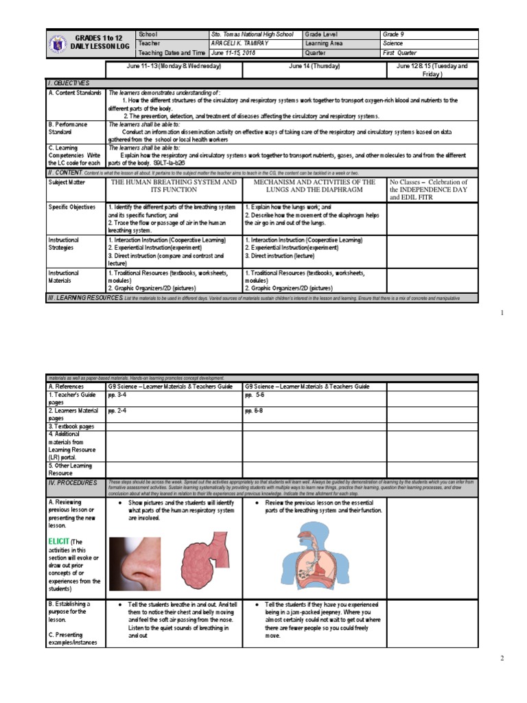 Understanding How the Respiratory and Circulatory Systems Work Together ...