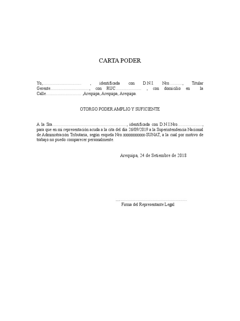 Modelo Carta Poder Sunat | PDF