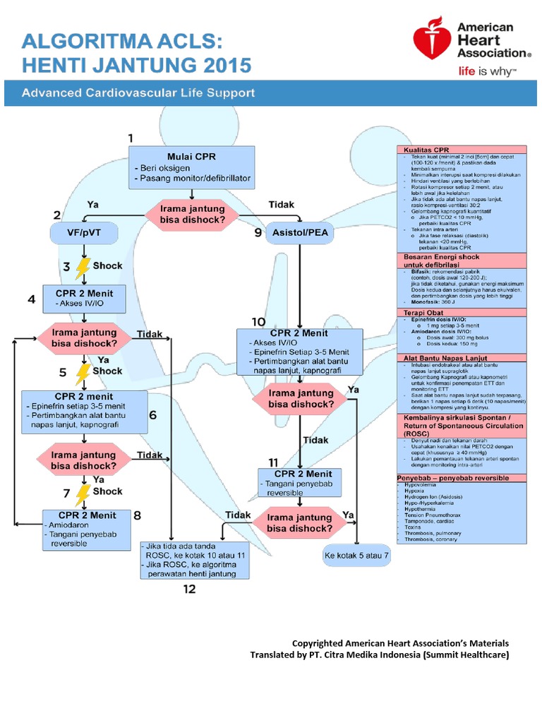 ACLS Guidelines 2023 Indonesia | PDF | Self-Improvement | Wellness