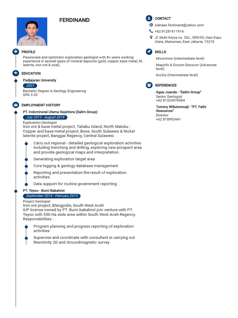 Ferdi CV | PDF | Minerals | Geology