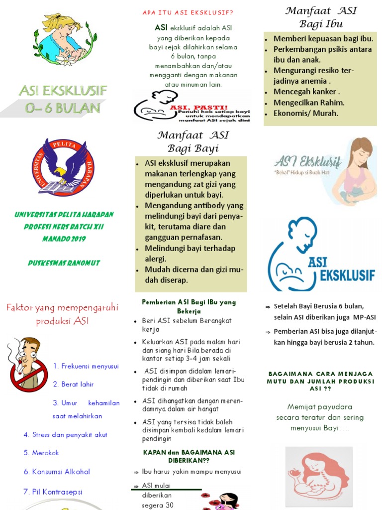 Leaflet ASI Eksklusif Dan Perawatan Payudara | PDF