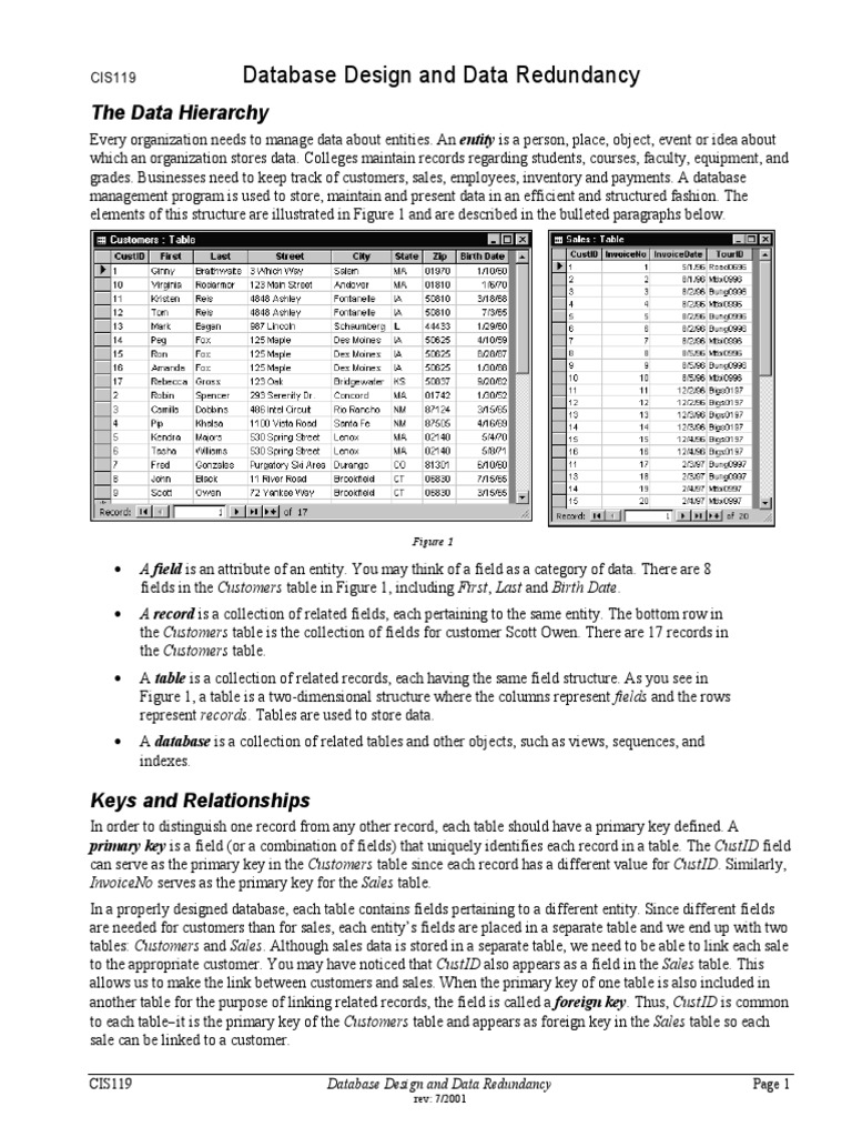 Database Design Basics | PDF | Relational Database | Data Model