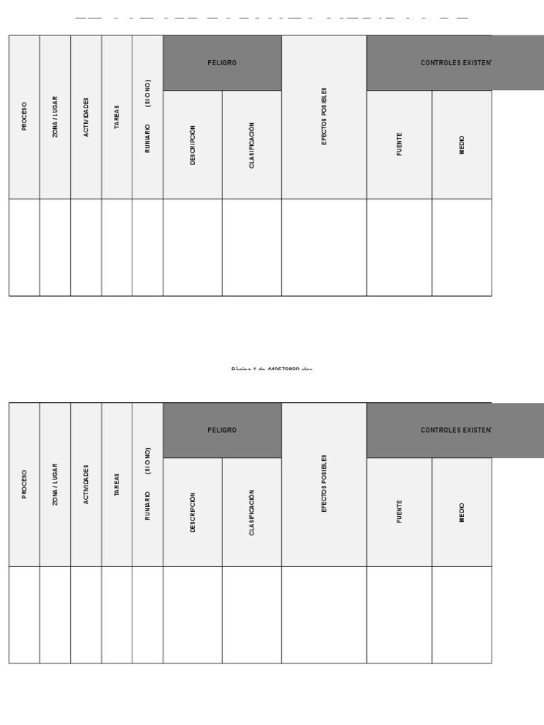 Formato MPCR | PDF | Riesgo | Bienestar