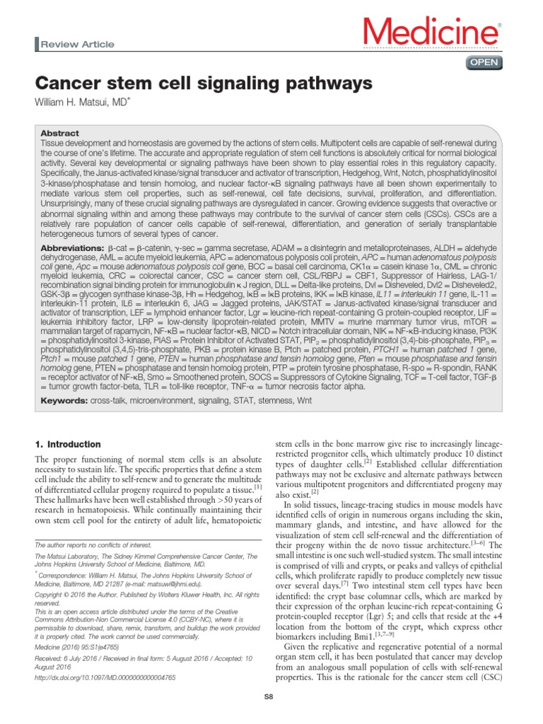 Medicine: Cancer Stem Cell Signaling Pathways | PDF | Signal Transduction | Protein Kinase B