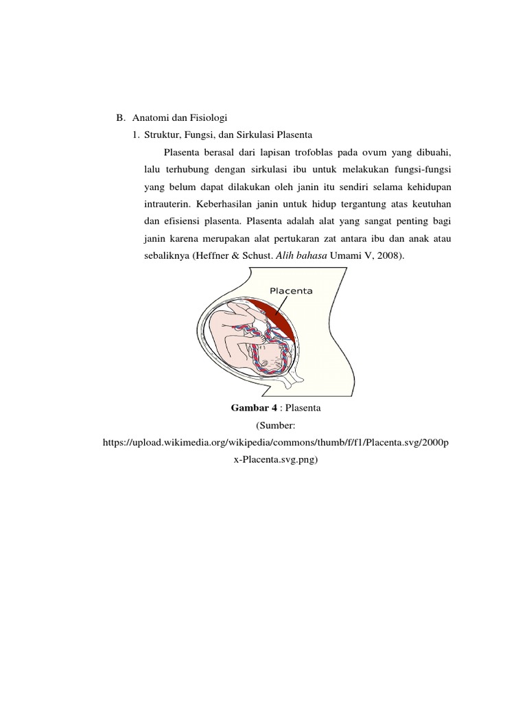 Anatomi Dan Fisiologi Plasenta Previa | PDF