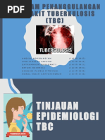 Pedoman Pelayanan TB Dots | PDF