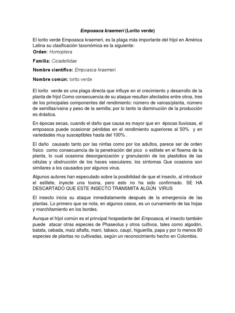 Orden Familia: Cicadellidae Nombre Científico: Empoasca Kraemeri Nombre ...