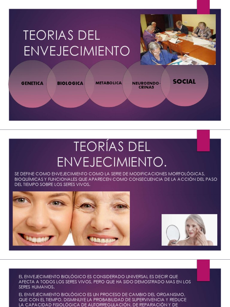 Teoria Del Envejecimiento | PDF | Envejecimiento | Senectud