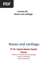 Skeletal System Anatomy Lecture PDF | PDF | Bone | Skeleton