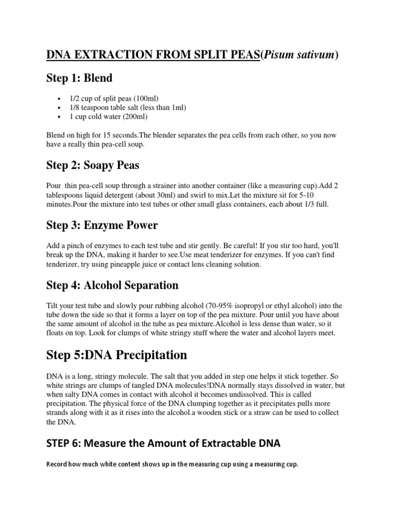 Dna Extraction From Split Peas (Pisum Sativum) Step 1: Blend | Download ...